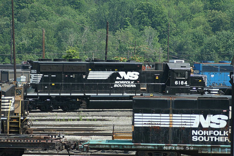 NS 6184